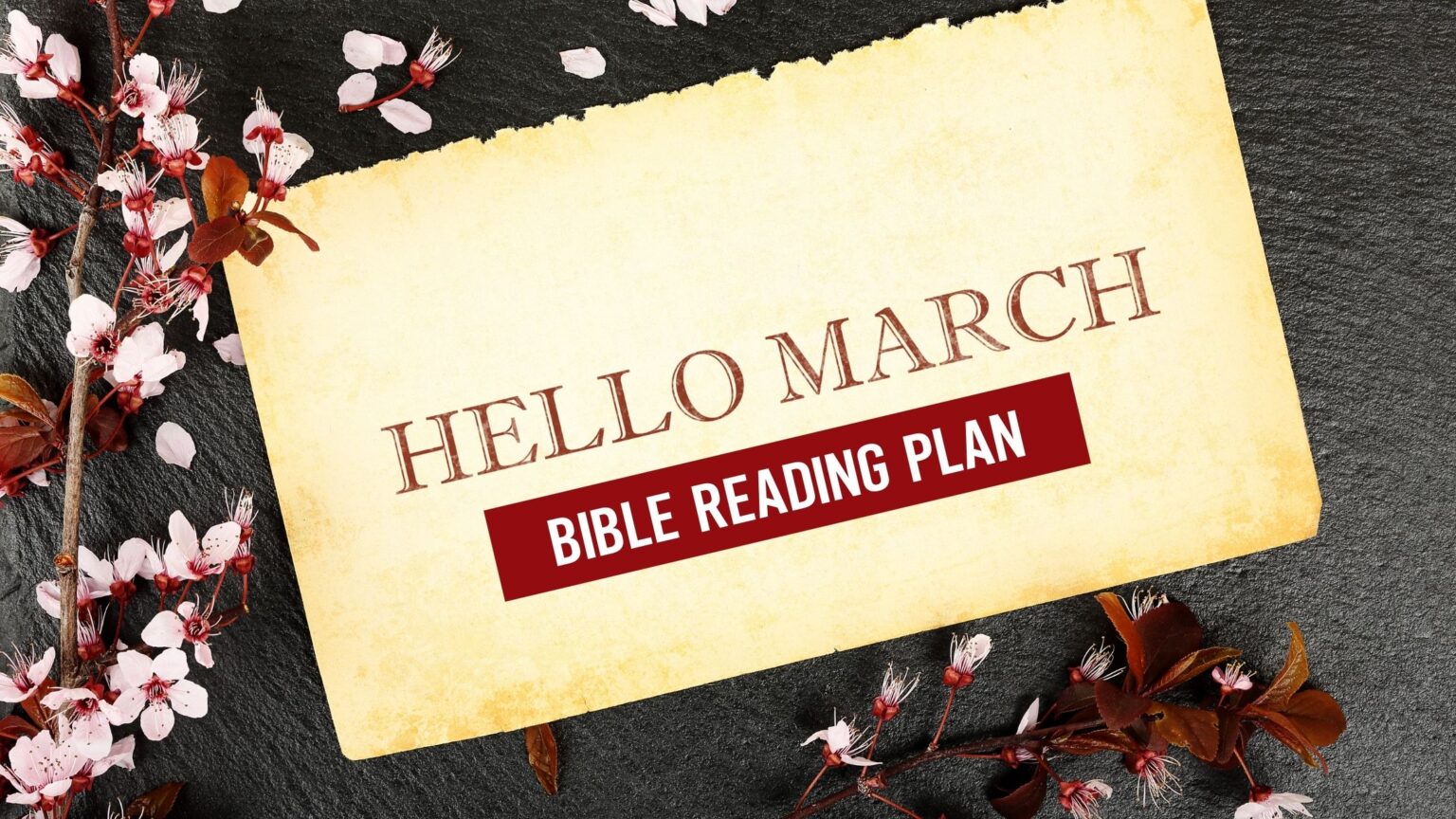 March Bible Reading Plans