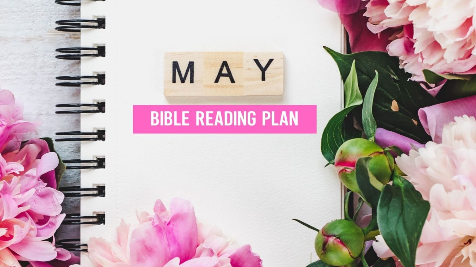 May Bible Reading Plans